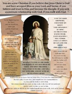 Who Is a True Christian? - WISDOM FROM HEAVEN